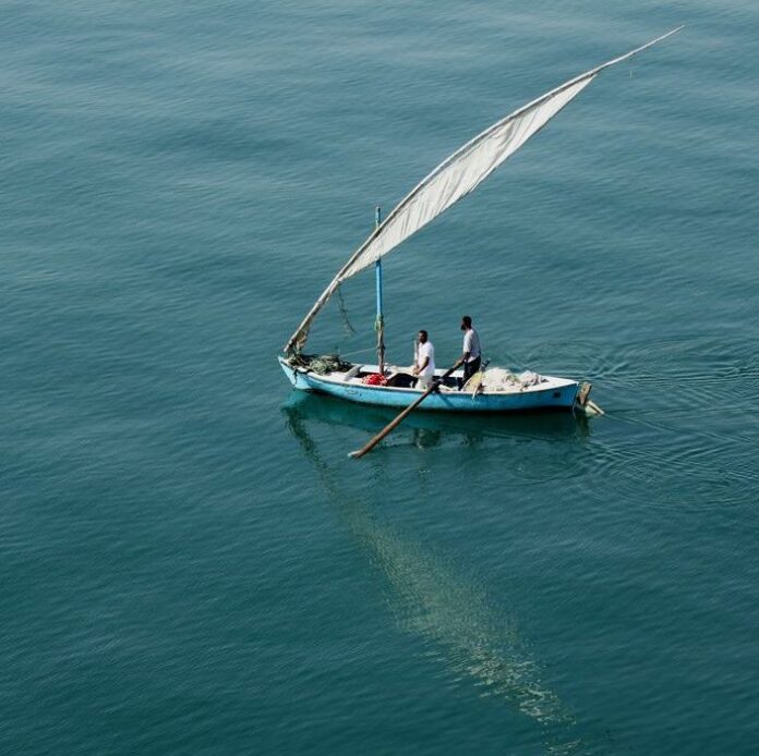 Peces Invasores El Efecto Colateral De La Expansión De Los Canales De